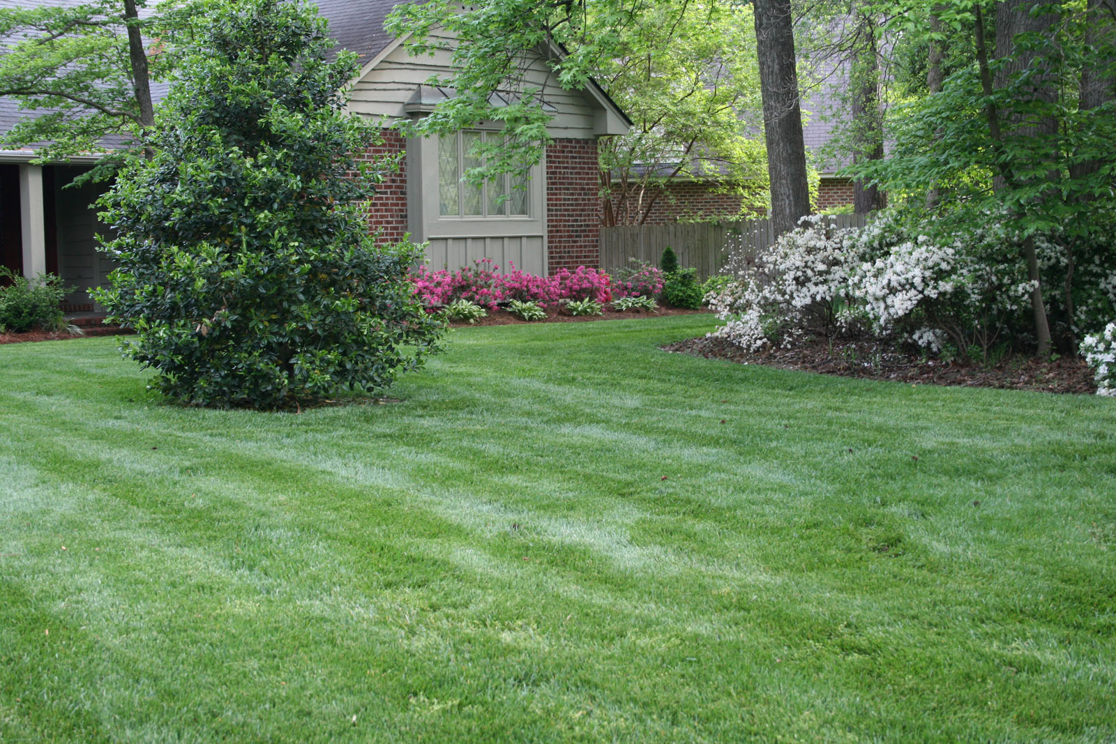 Gallery – GrassMasters, LLC