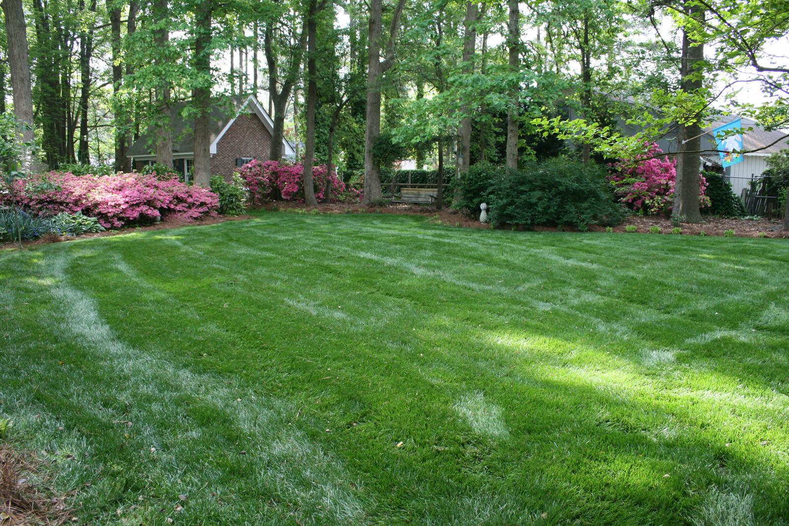 Gallery – GrassMasters, LLC